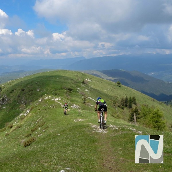 Cima Grappa - Trail 20/36 - Nest.bike Percorsi e Itinerari in mountain bike