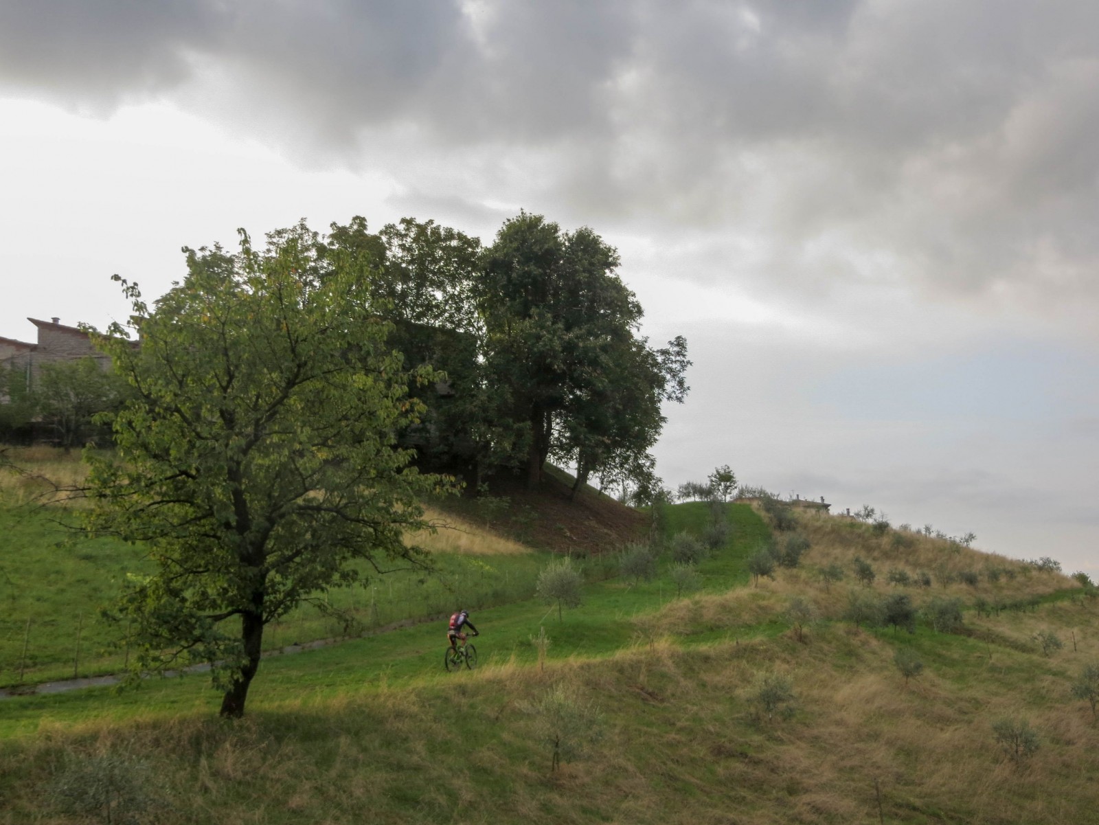 Colceresa - nest.bike Percorsi e Itinerari in MTB e gravel