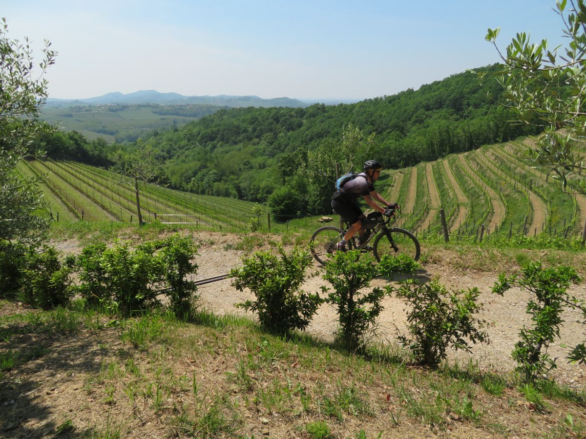 Collio - nest.bike Percorsi e Itinerari in MTB e gravel
