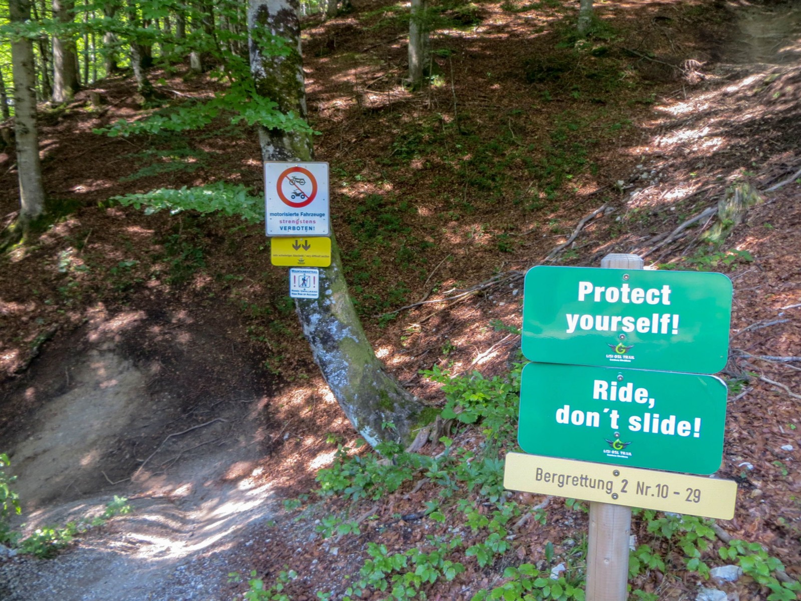 Lisi Osl Trail - nest.bike Percorsi e Itinerari in MTB e gravel