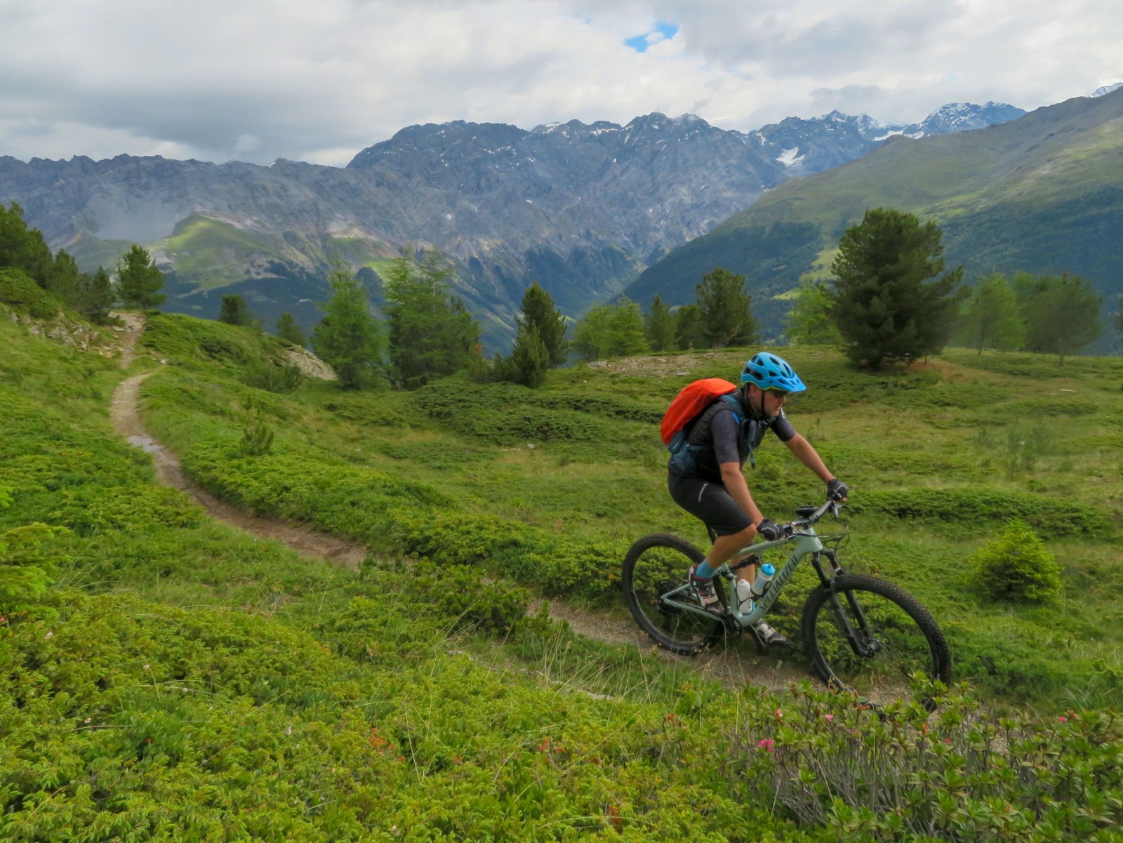 Bormio 2000 - nest.bike Percorsi e Itinerari in MTB e gravel
