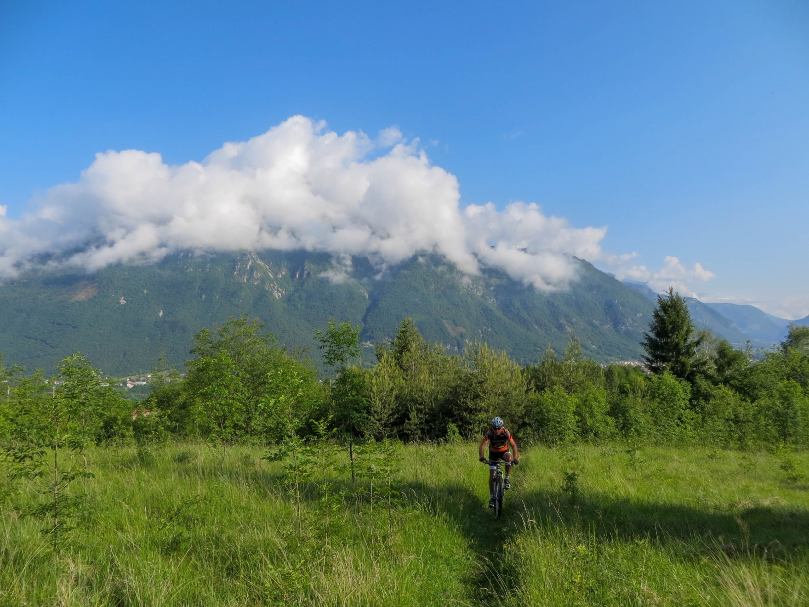 Nevegal - nest.bike Percorsi e Itinerari in MTB e gravel