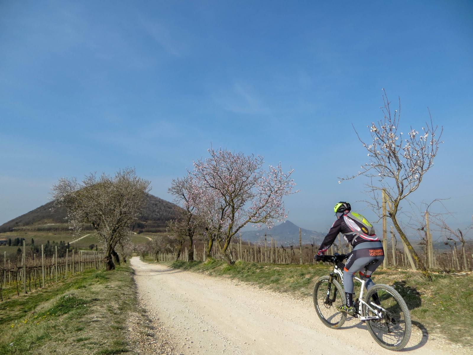 Alta Via dei Colli Euganei - nest.bike Percorsi e Itinerari in MTB e gravel