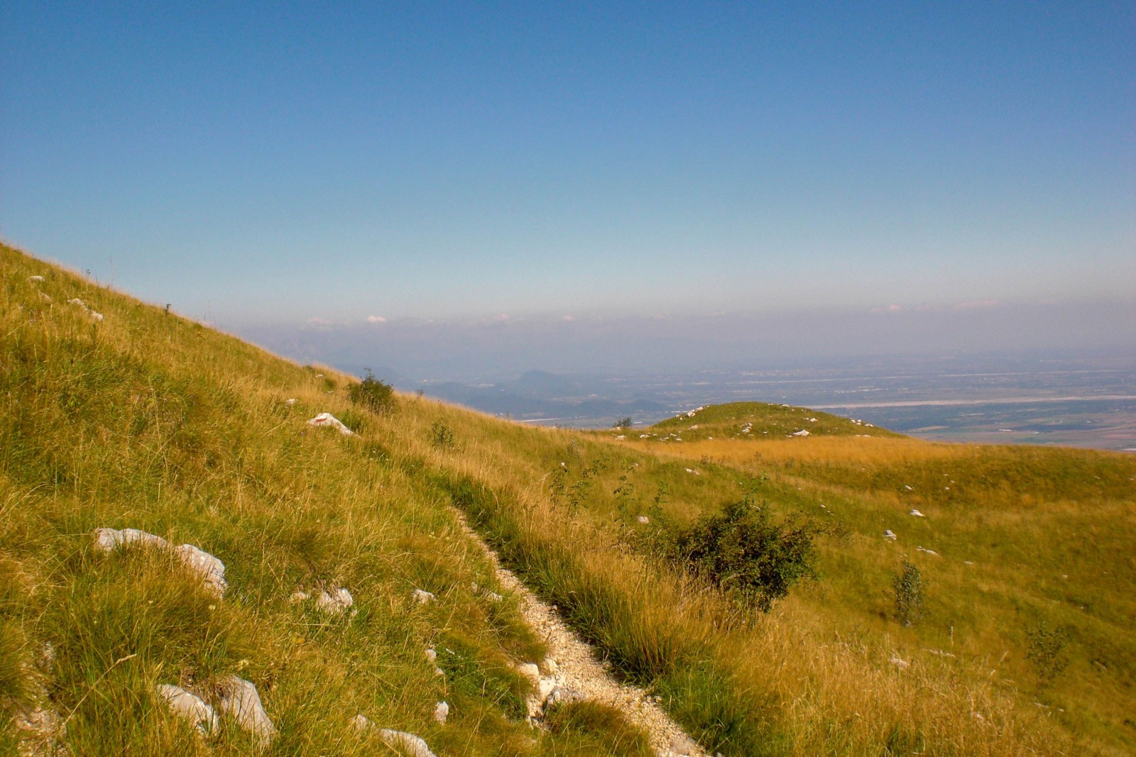 Monte Jouf e Pala d'Altei - Nest.bike Percorsi e Itinerari in mountain bike