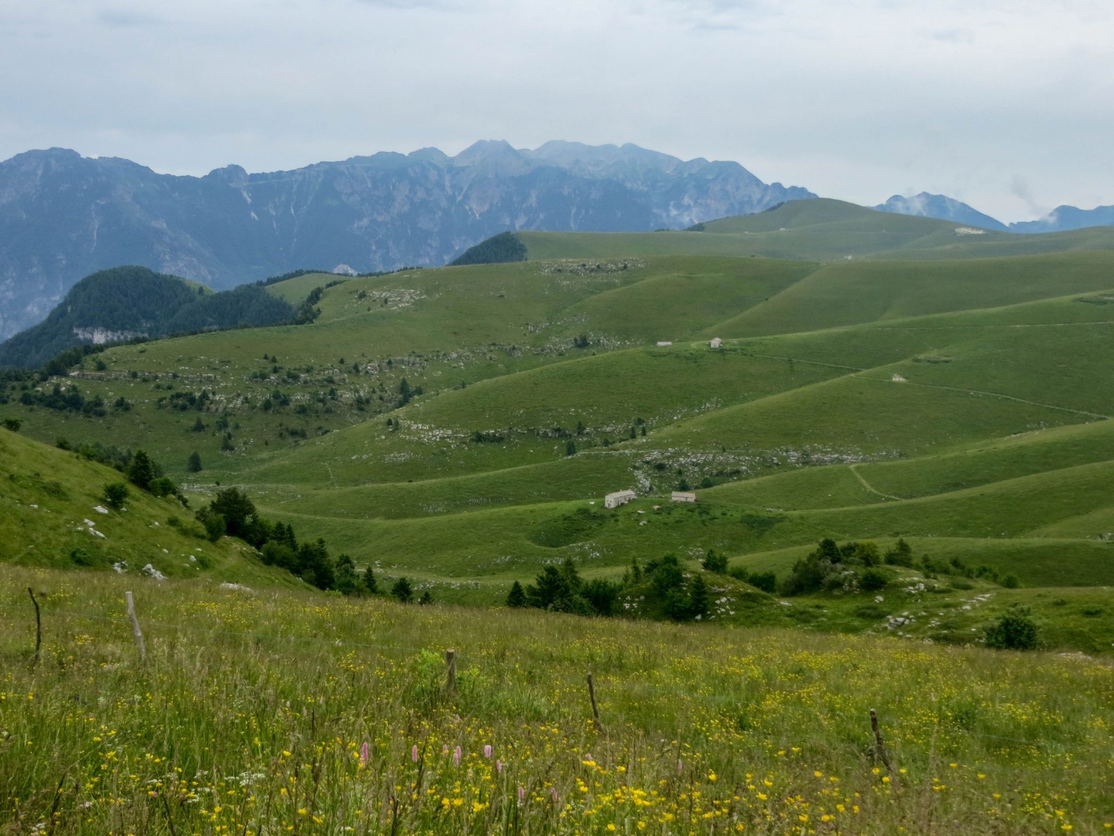 Alta Lessinia - nest.bike Percorsi e Itinerari in MTB e gravel