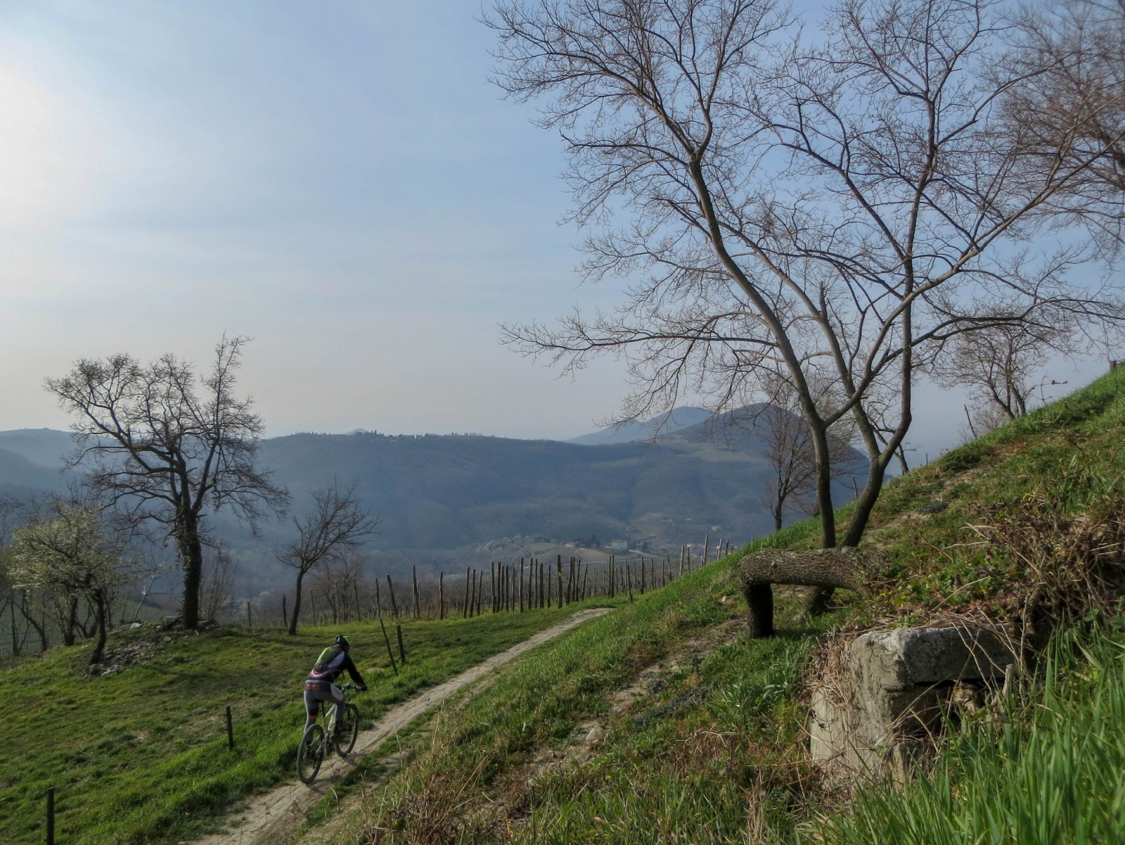 Alta Via dei Colli Euganei - nest.bike Percorsi e Itinerari in MTB e gravel